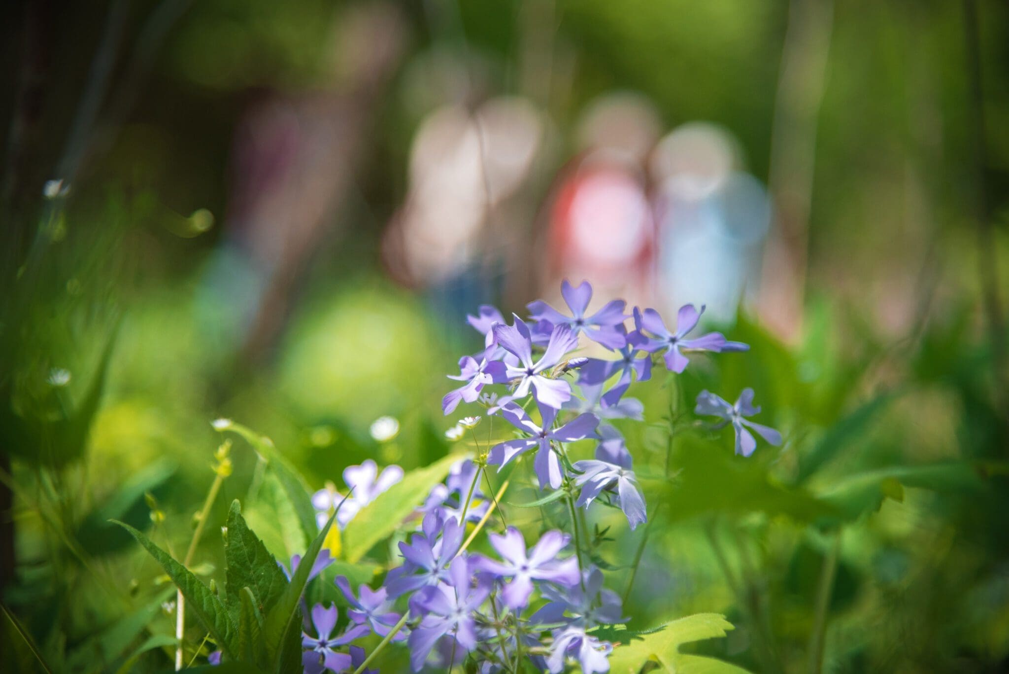 Spring Mar May - Oxford Spring Events - Enjoy Oxford