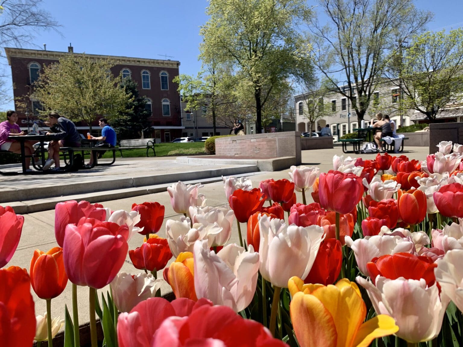 Ultimate Staycation Guide to Oxford, Ohio - Enjoy Oxford